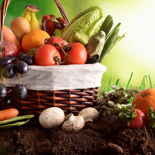 Produits Archive - Nature Source - Épicerie Verte